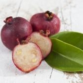 Araçá-Roxo - Sementes Caiçara