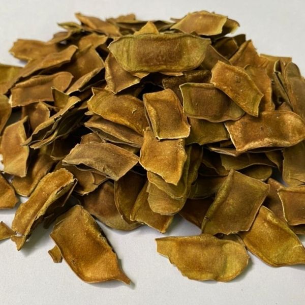 Embira de Sapo - Sementes Caiçara